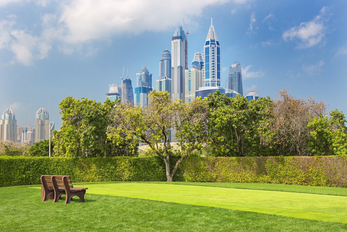 Beyond Skyscrapers: Dubai's Flourishing Green Spaces - Tit Fees